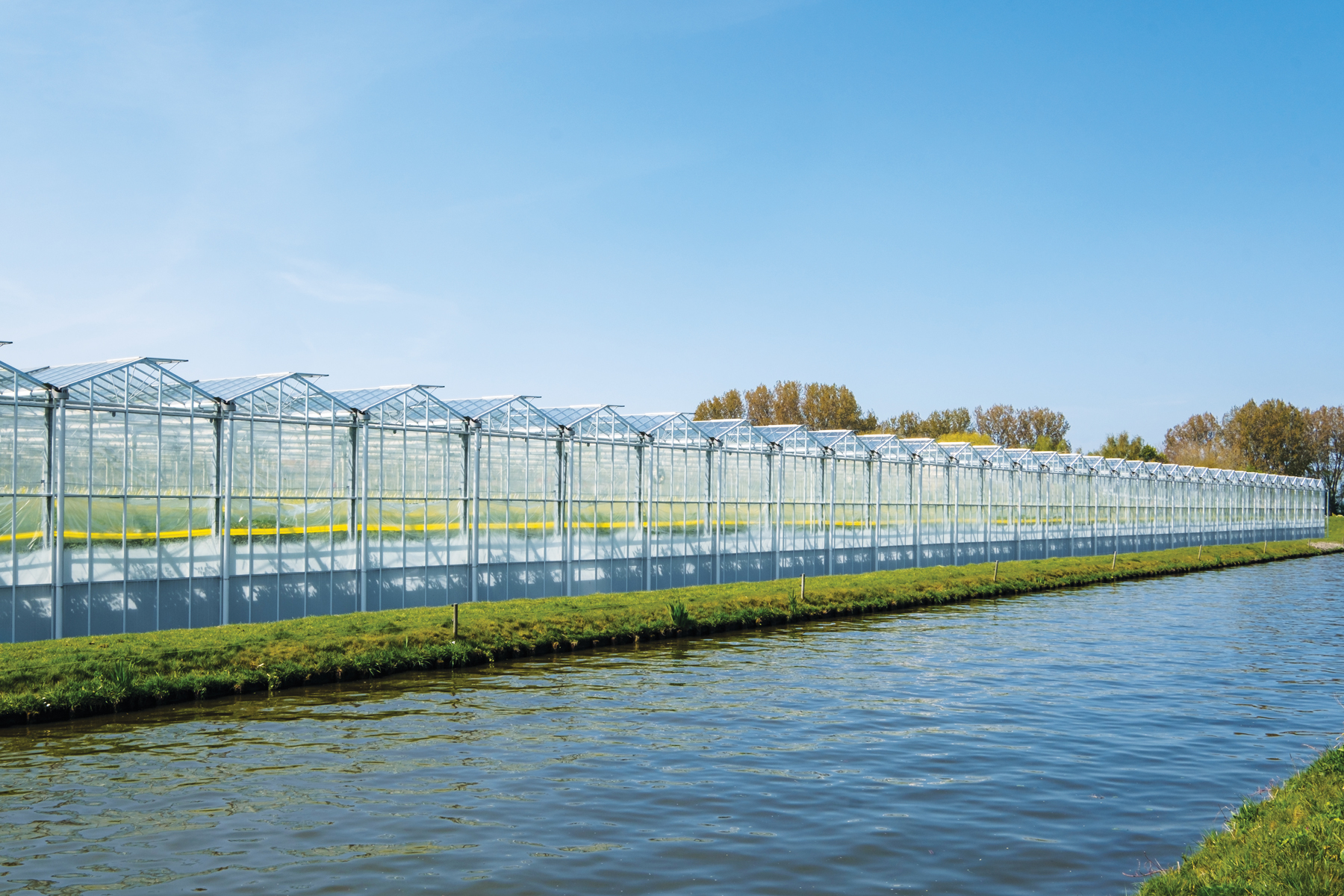 Innovative Greenhouse Technologies for the Future – Mother Earth News